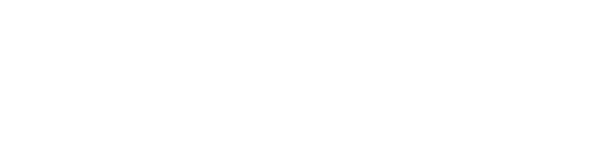 BioGrad Group Values 2024 - BioGrad Group